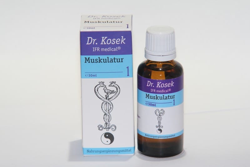 1. Muskulatur - Dr. Kosek